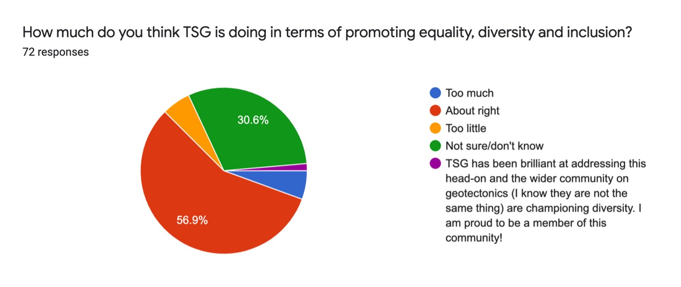 TSG 2021 AGM – Diversity survey summary – Tectonic Studies Group
